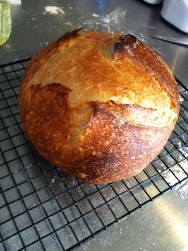 Bread making 101 | Tahoe Girl